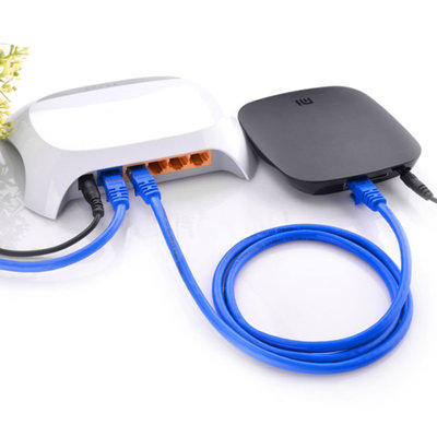 Blue T568B T568B Cca Utp Rj45 0.5m Patch Cord Cable
